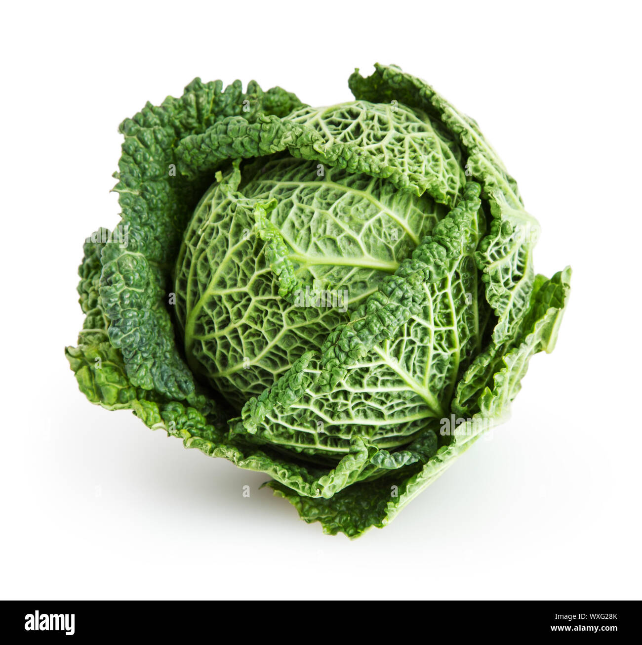 Savoy cabbage isolated on white background with clipping path Stock ...
