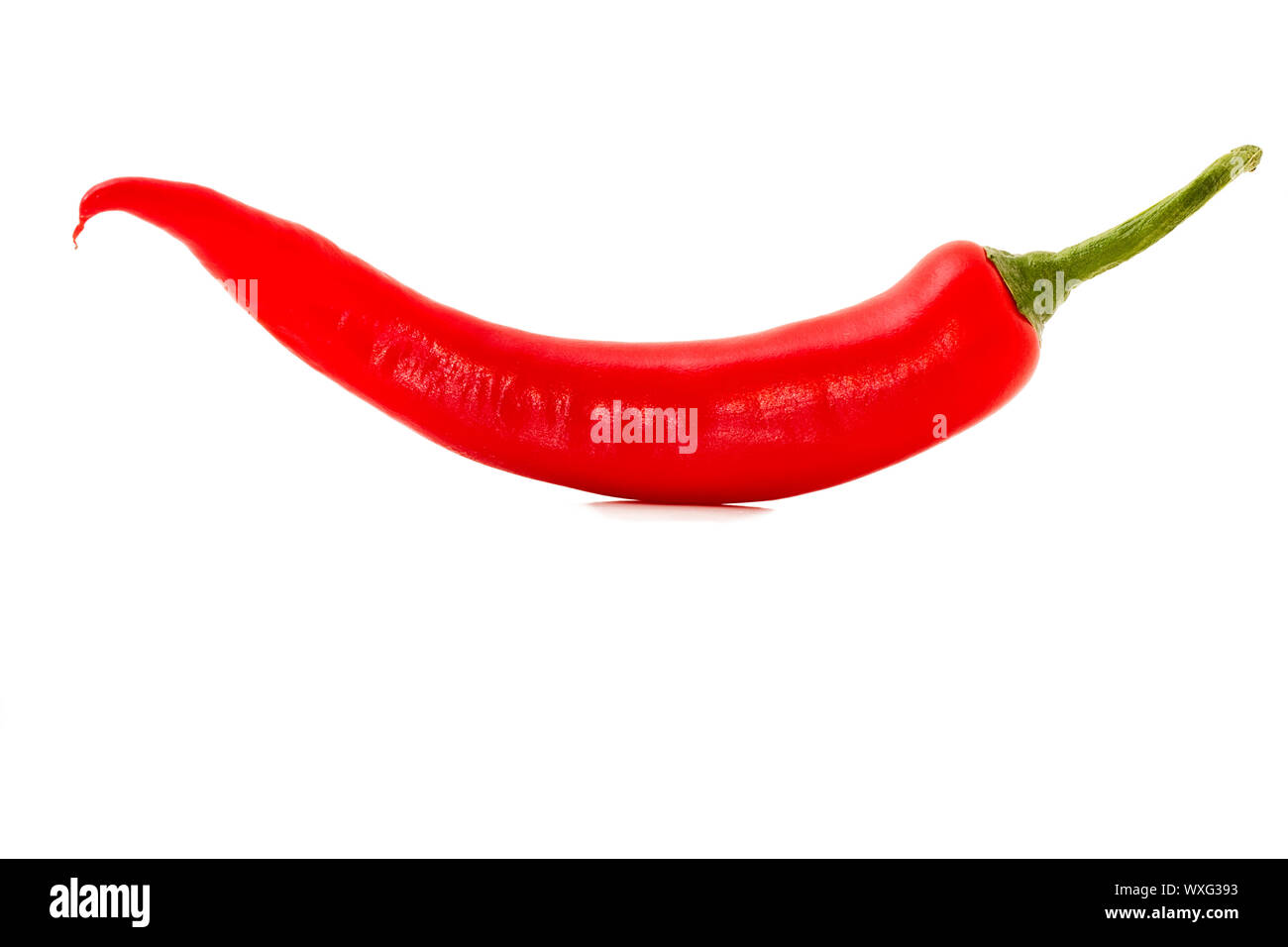 one red chili isolated on white background Stock Photo - Alamy
