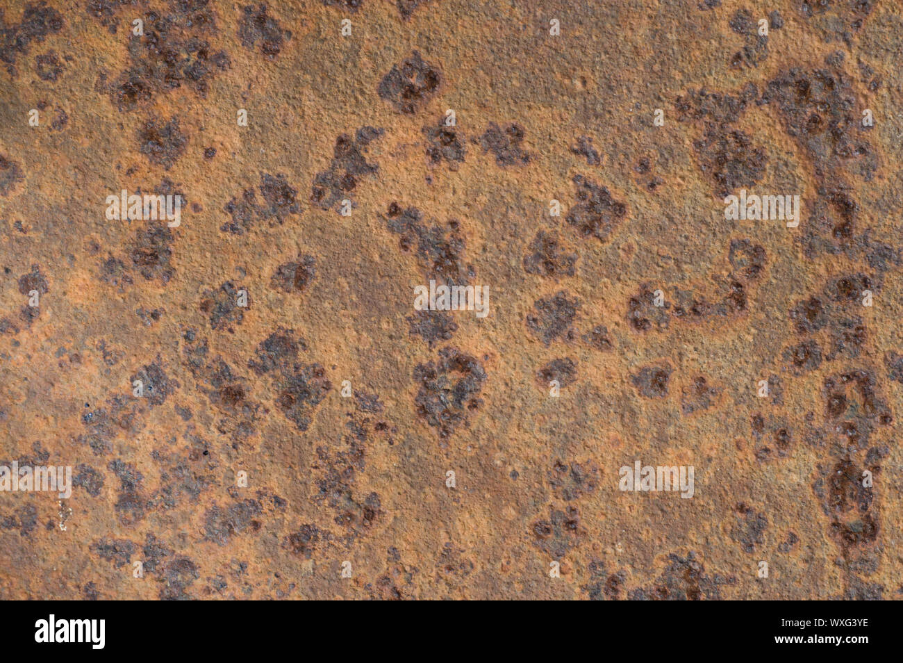 image of texture of brown ferruginous surface Stock Photo - Alamy