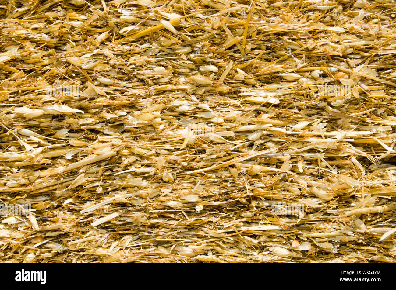 textured pressed straw Stock Photo - Alamy