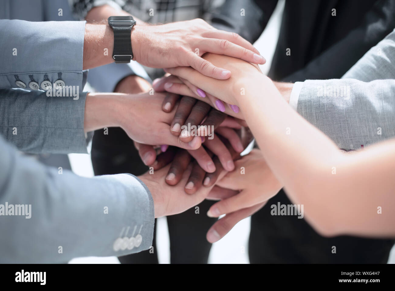 group of people in the office folded their hands together Stock Photo ...