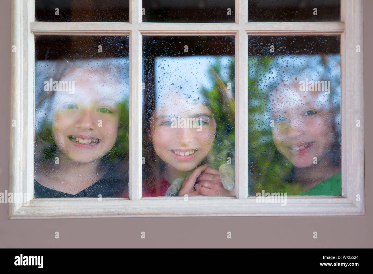 three sister friends looking through the window with a pup and ...