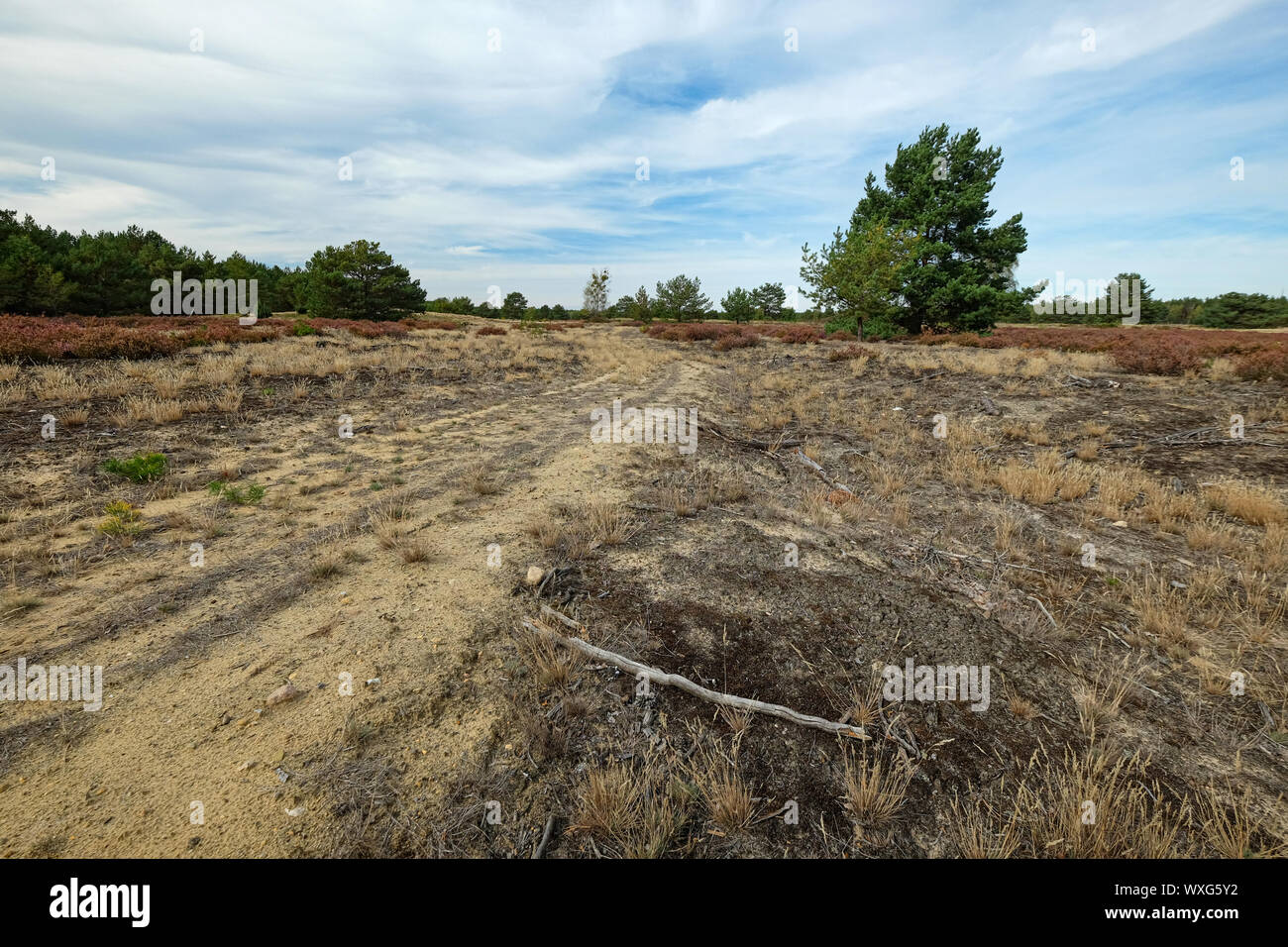 Former military training ground of the Red Army in the East of Germany ...
