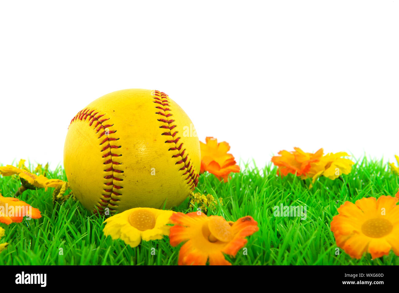 Green grass with yellow baseball and white background Stock Photo - Alamy