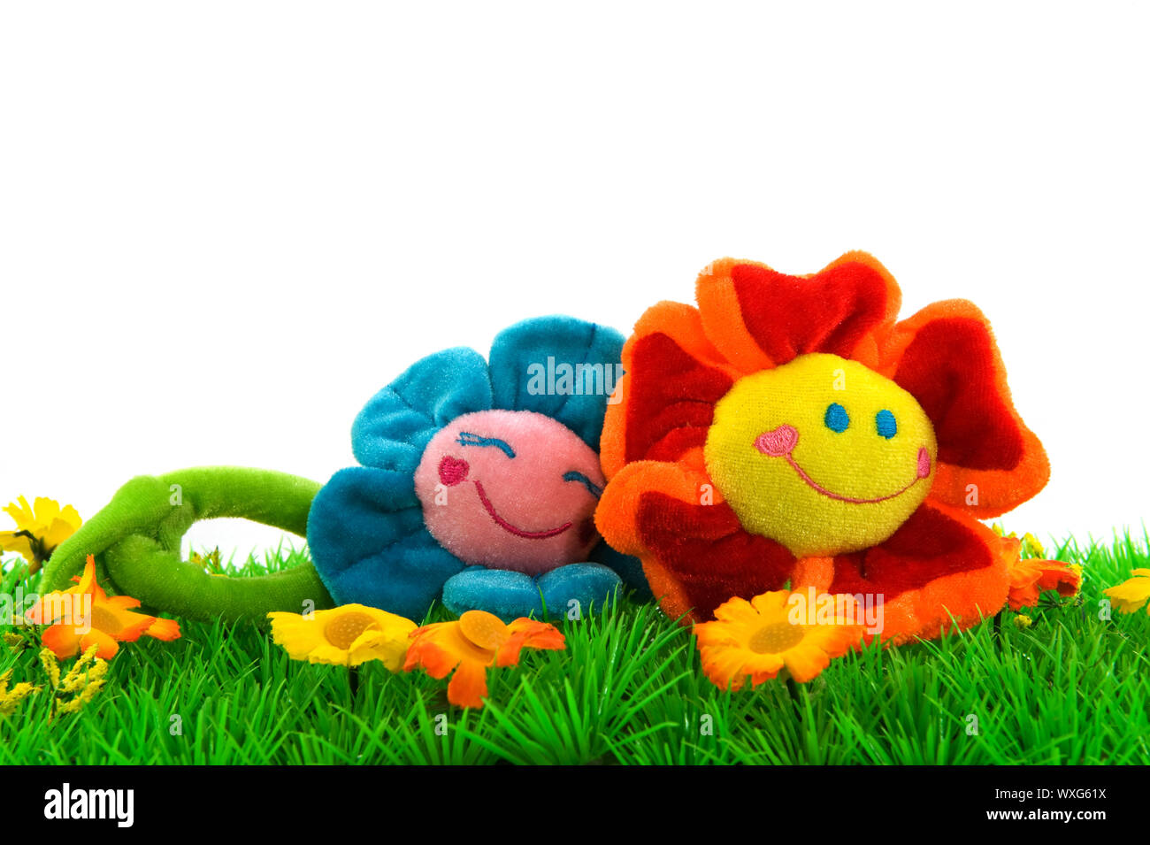 Green grass with happy flowers and white background Stock Photo - Alamy