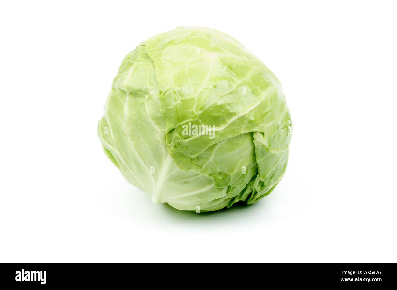 Raw Full Body Head of Cabbage isolated on white Stock Photo - Alamy