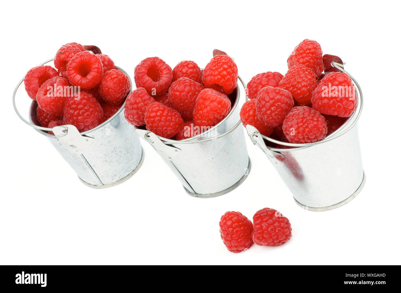 Three Tin Buckets with Perfect Ripe Raspberries In a Row isolated on ...