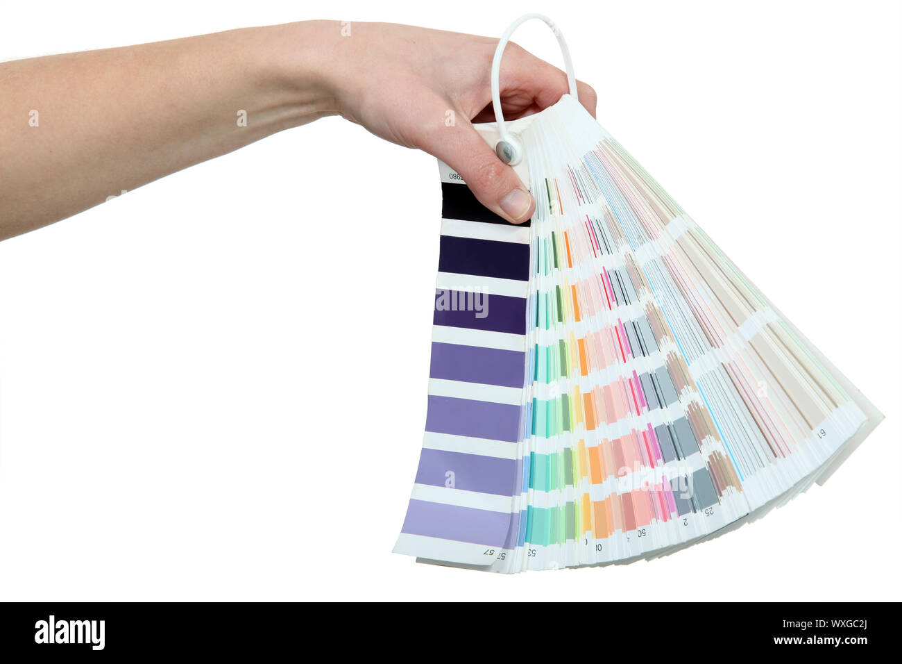 Paint colour samples Stock Photo - Alamy