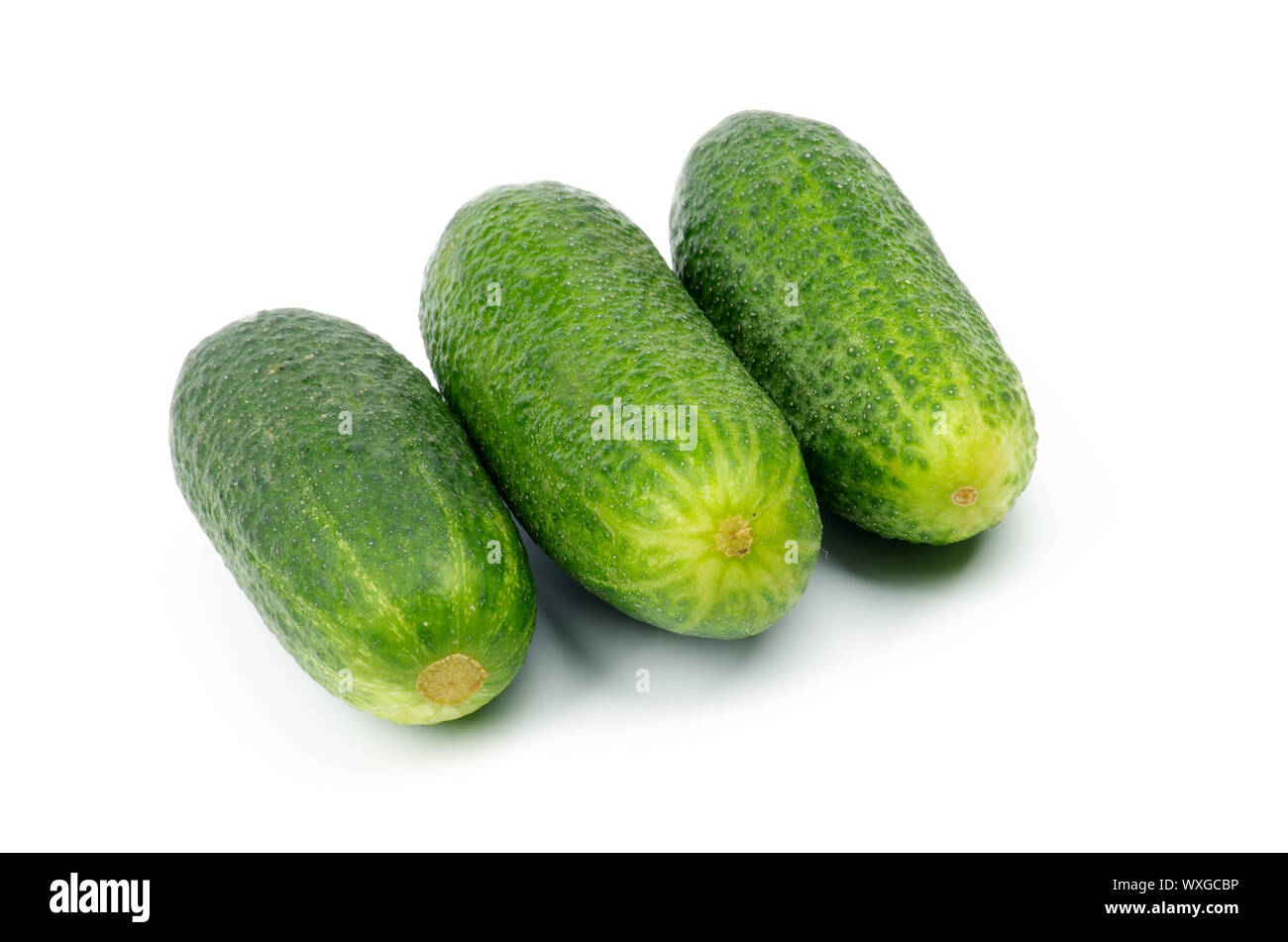 Three Raw Cucumbers In a Row isolated on white background Stock Photo ...