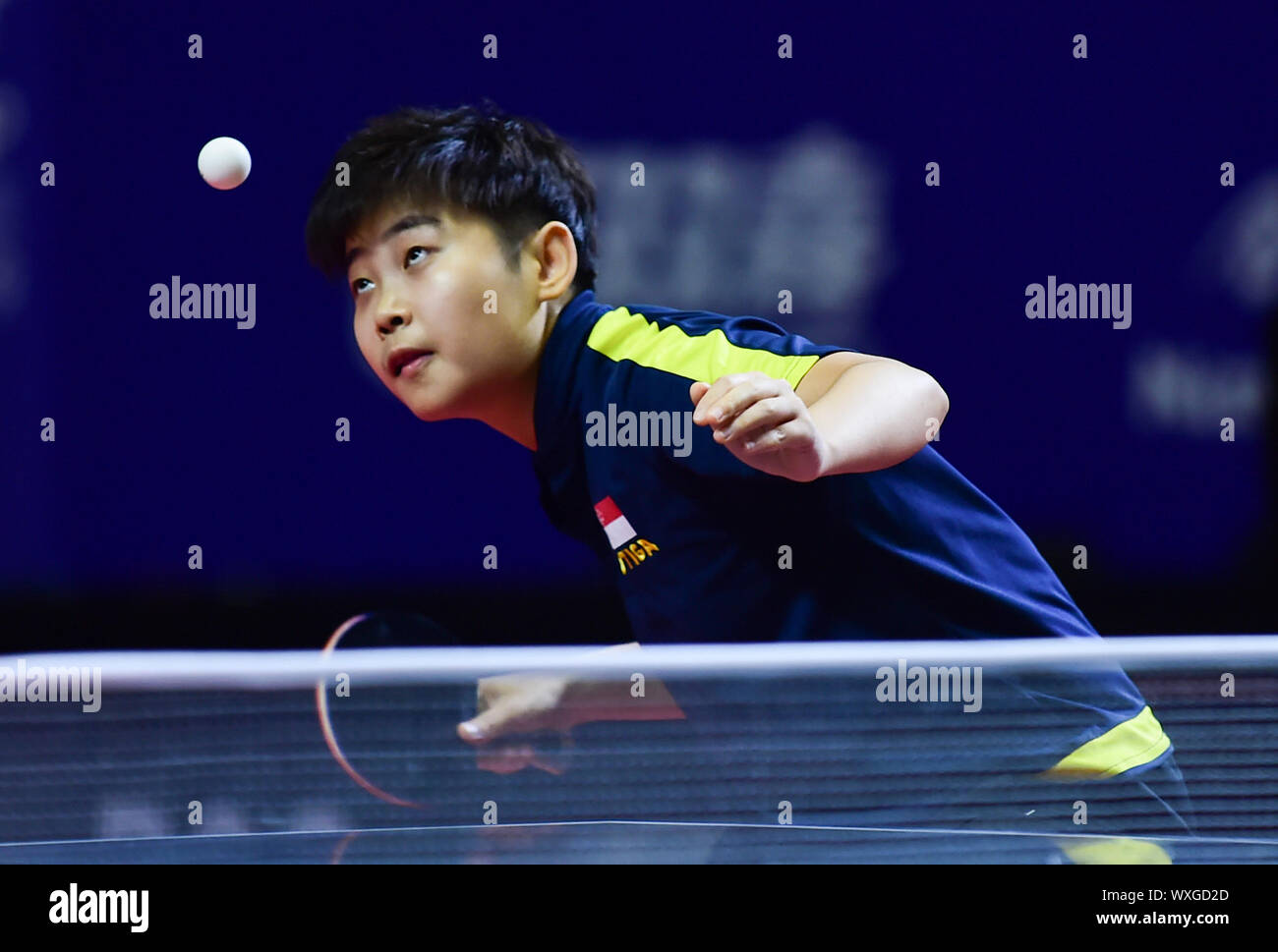 Rui xuan wang hi-res stock photography and images - Alamy