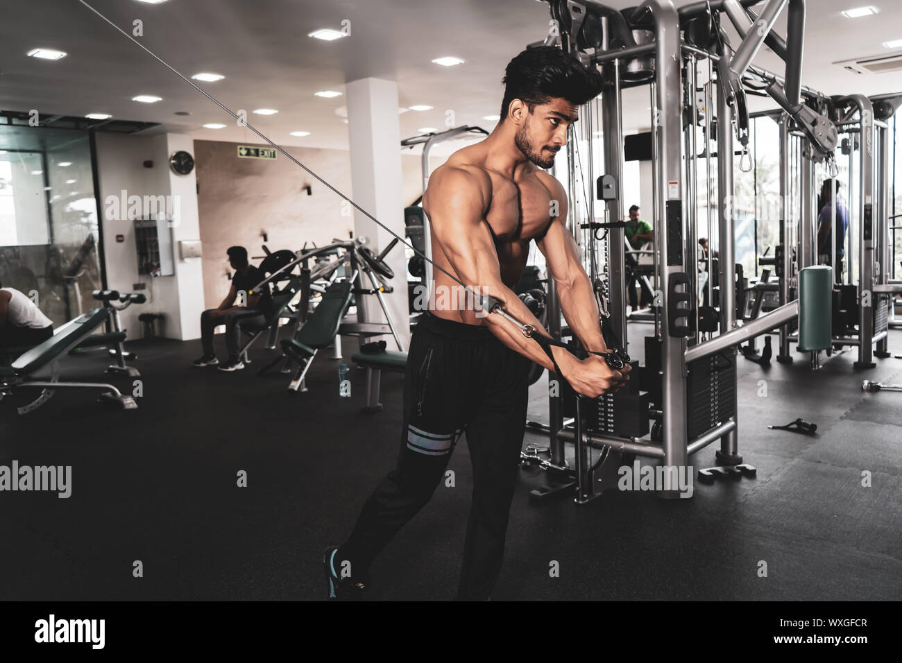 Bodybuilder Is Working On His Chest With Cable Crossover In Gym. Scream ...