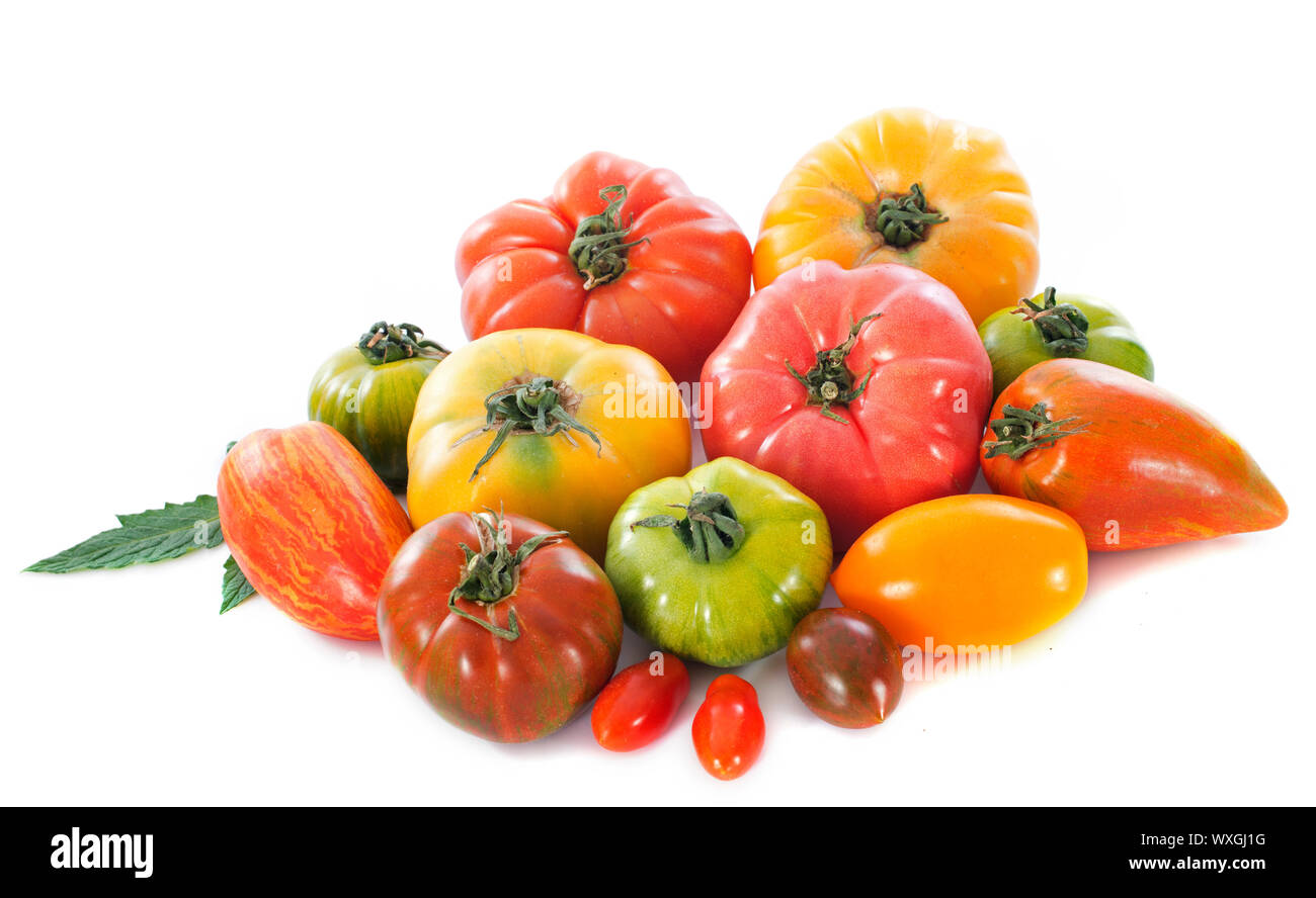 varieties of tomatoes in front of white background Stock Photo - Alamy