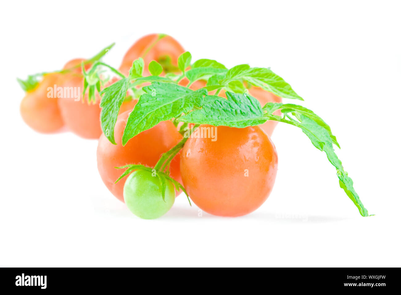 composition of tomato close up Stock Photo - Alamy