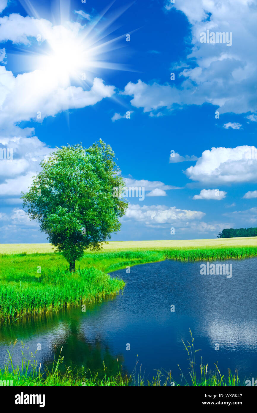 lake on a field Stock Photo - Alamy