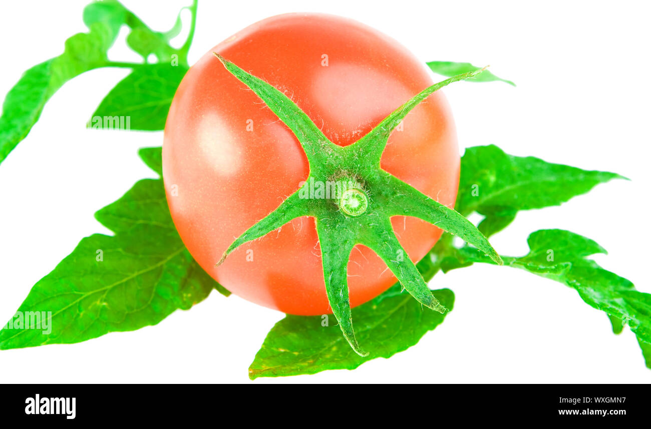 tomato on a leaf Stock Photo - Alamy