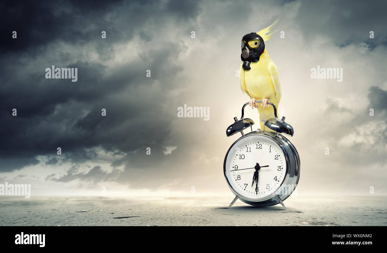 4668 hi-res stock photography and images - Alamy