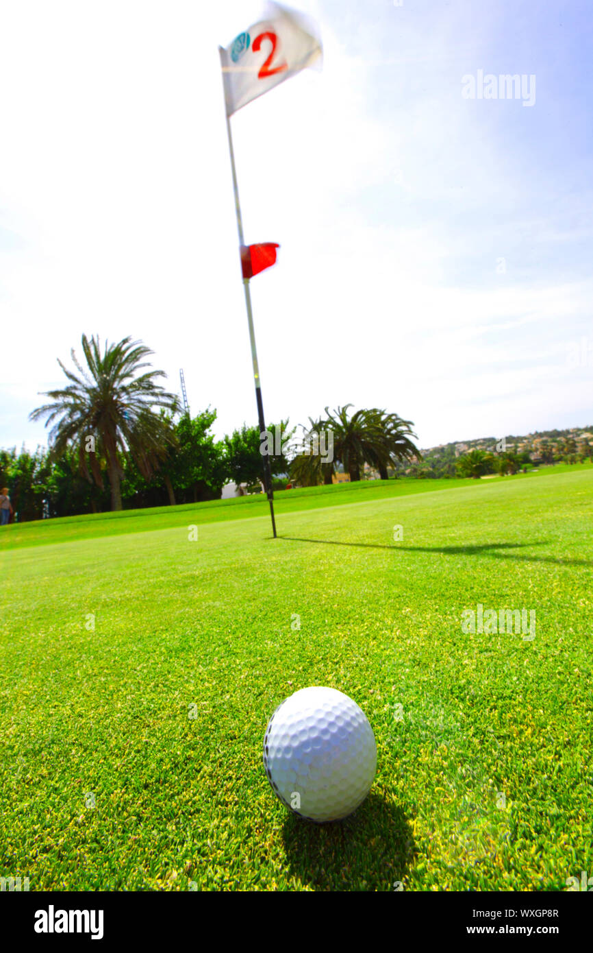 golf-ball on course Stock Photo - Alamy