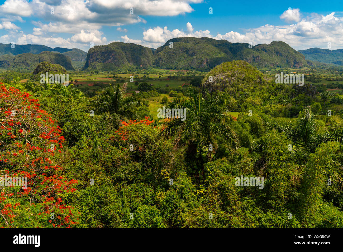 Vinales Valley popular tourist site in Pinar del Rio Province, Cuba ...