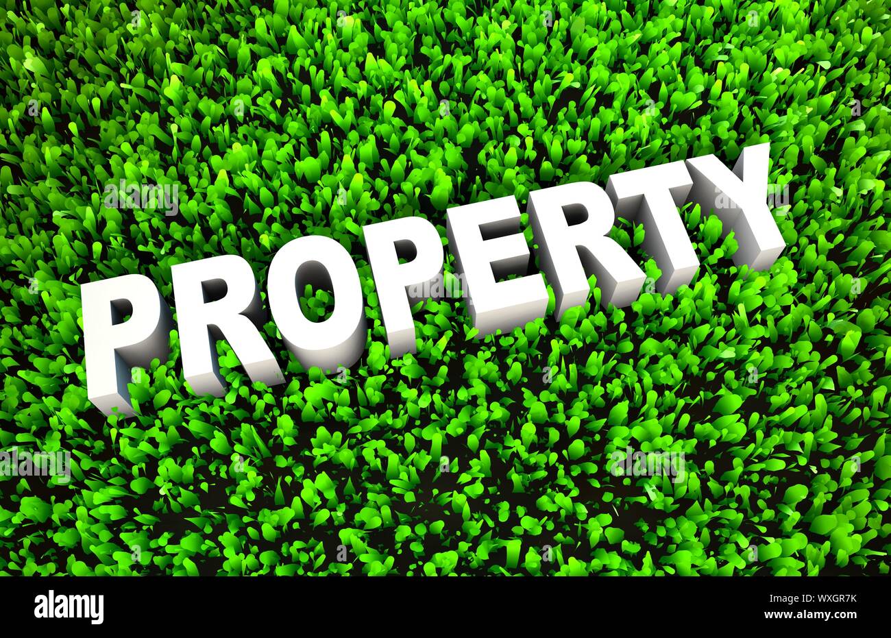 Growing Property Wealth and Wise Growth of Money Stock Photo - Alamy