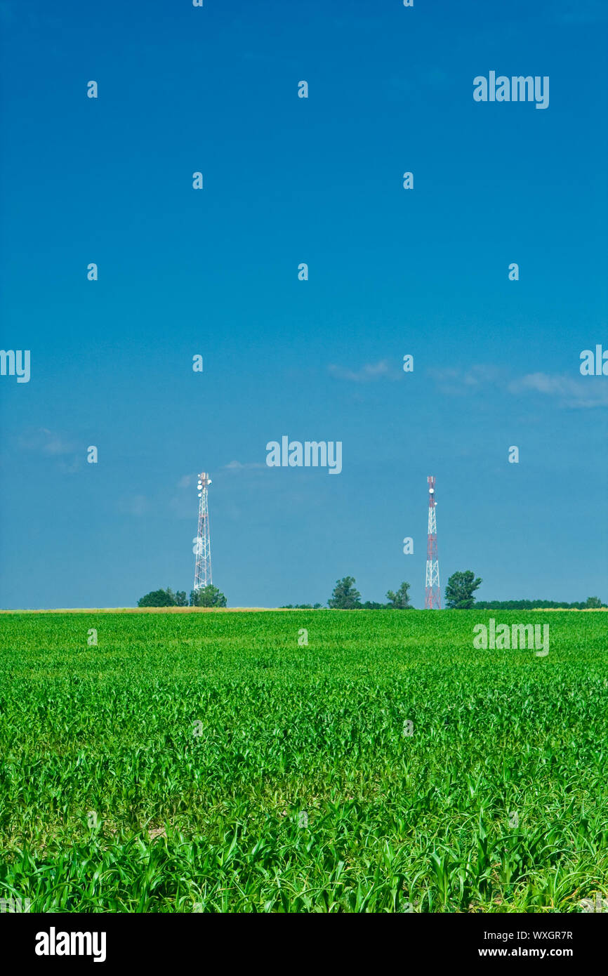 corn field and two tower vertical Stock Photo - Alamy