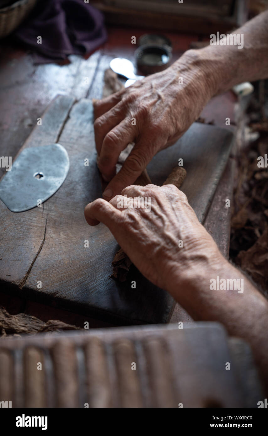 Cigar making table hi-res stock photography and images - Alamy