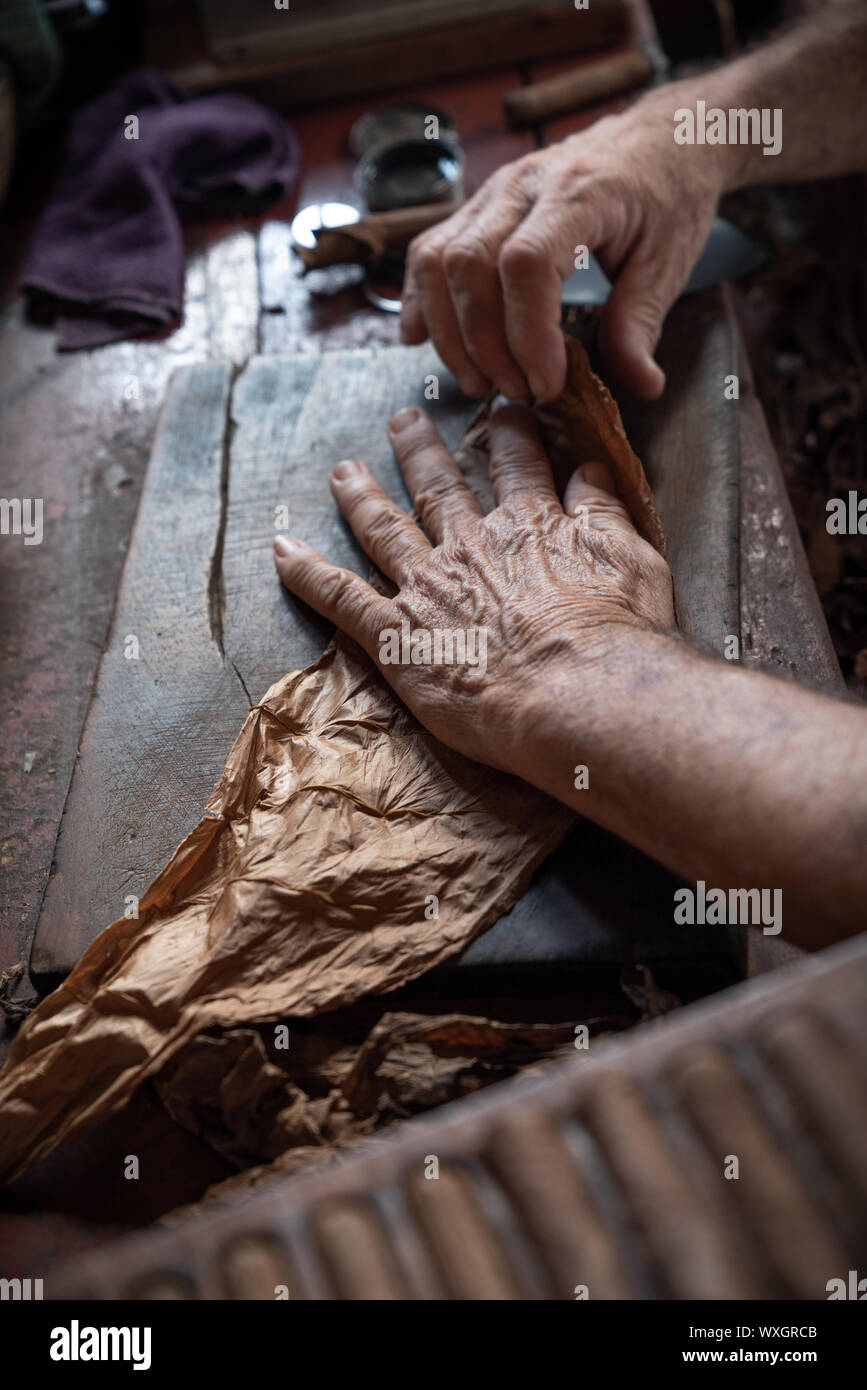 Cigar making table hi-res stock photography and images - Alamy