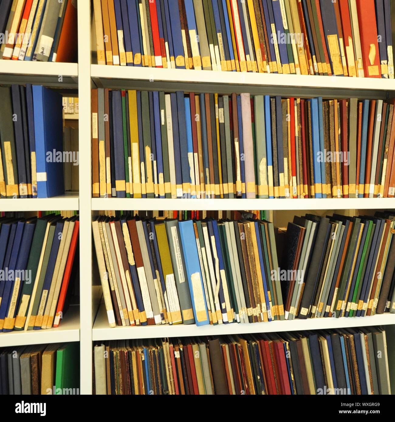 education books in a library showing school or university concept Stock ...