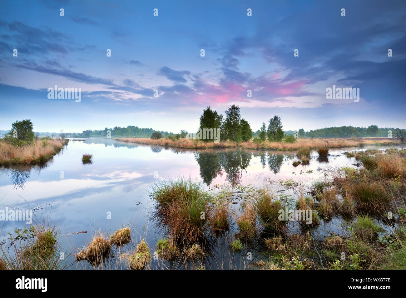 calm misty sunset over swamp in Drenthe, Netherlands Stock Photo - Alamy
