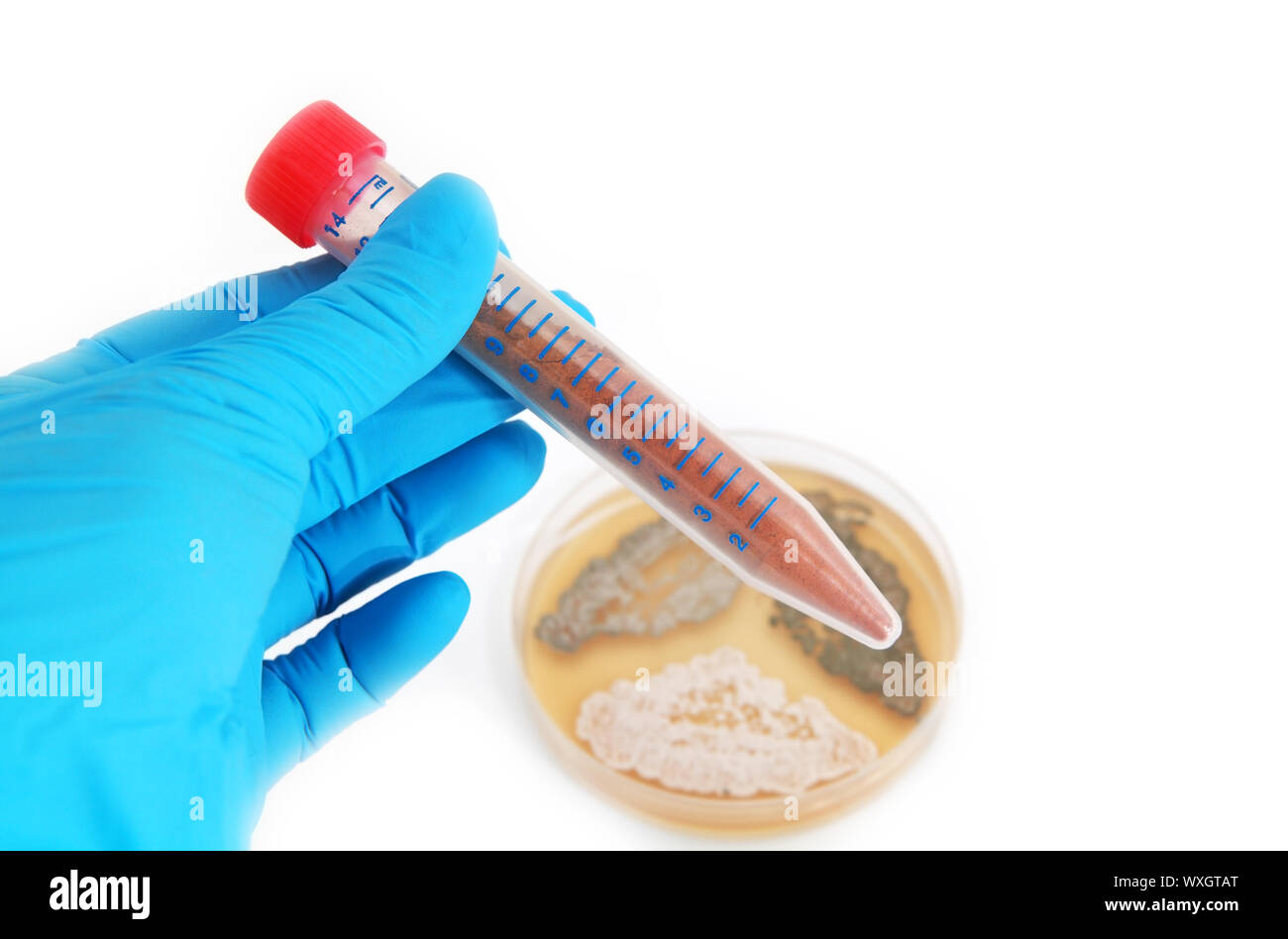 graduated tube with chemical compound over white background Stock Photo ...