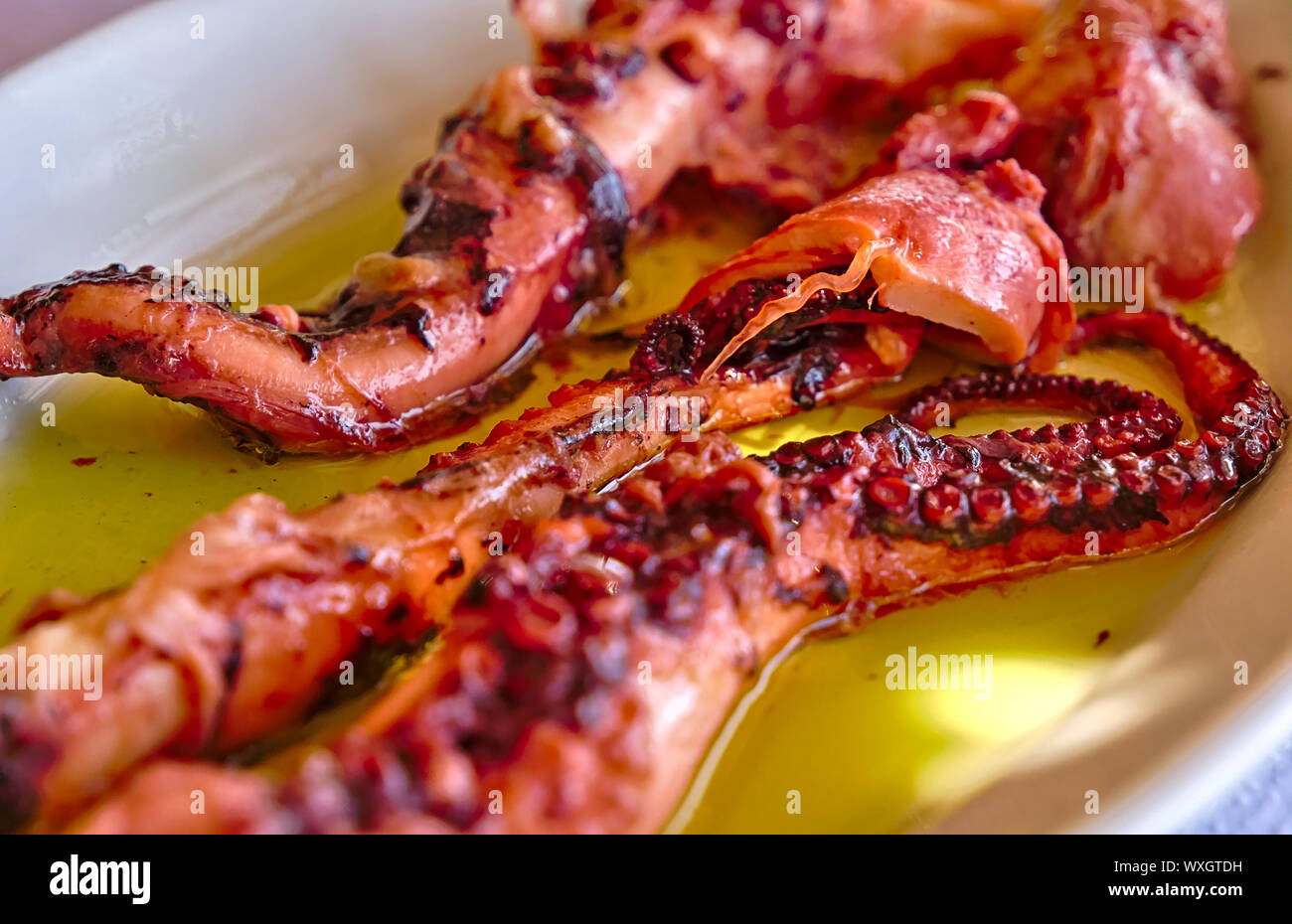 Traditional greek boiled octopus served with oil in white plate Stock ...