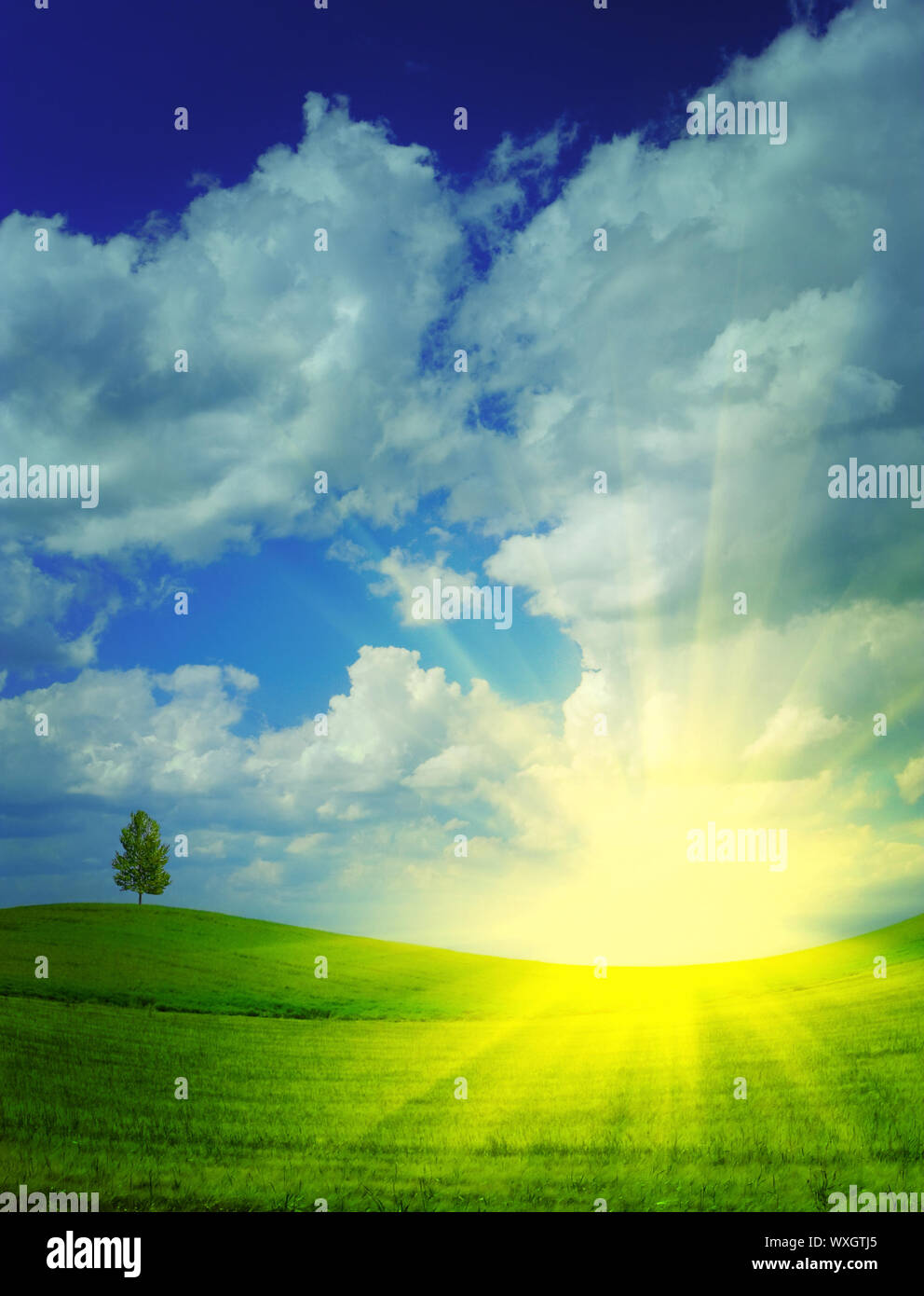 Dawn over wheat field on hi-res stock photography and images - Alamy