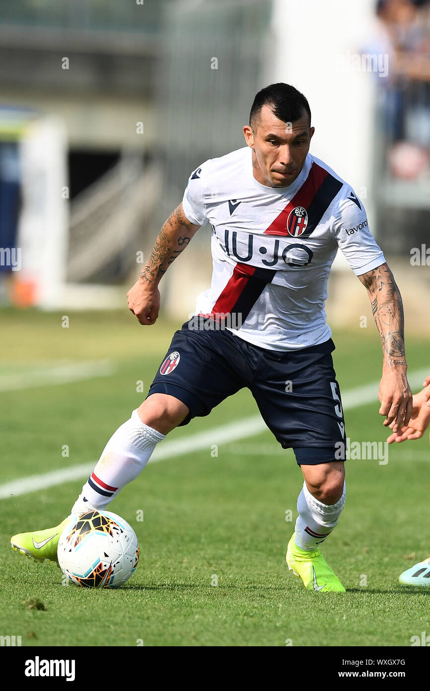 Gary Medel (Bologna) during the Italian "Serie A" match between Brescia ...