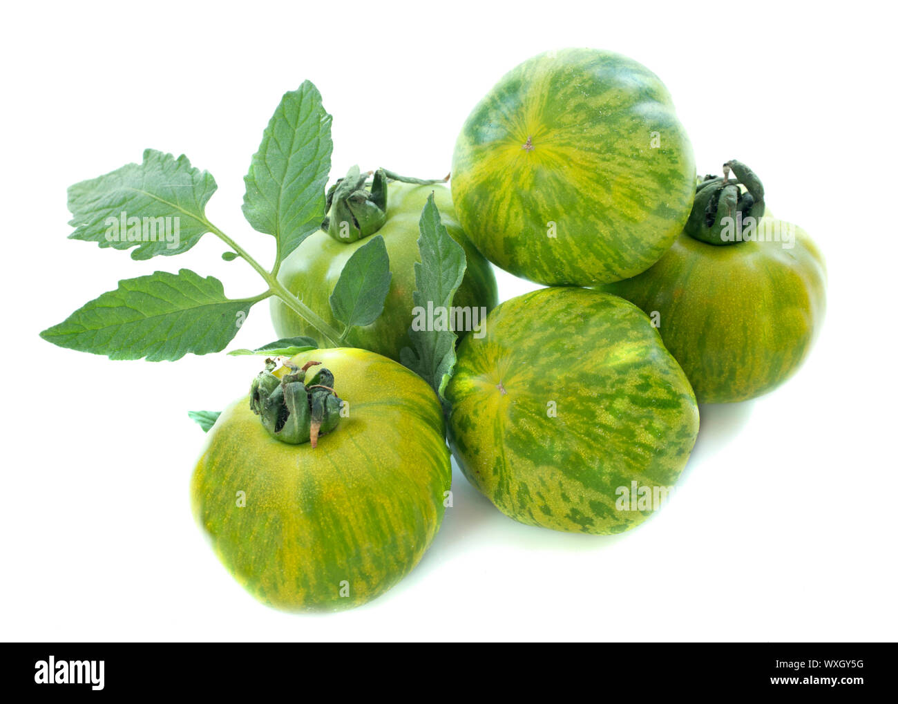 green zebra tomatoes in front of white background Stock Photo - Alamy