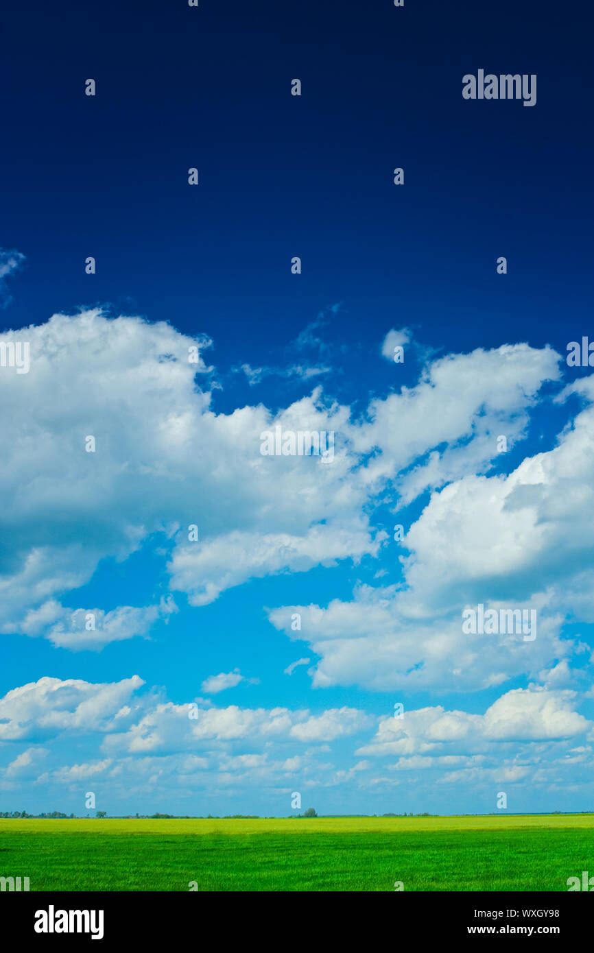 Two-color field and the beautiful sky Stock Photo - Alamy