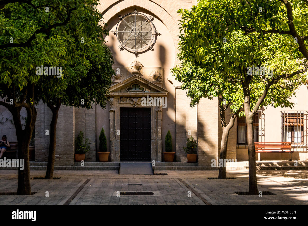 Large group of trees in a grid pattern hi-res stock photography and ...
