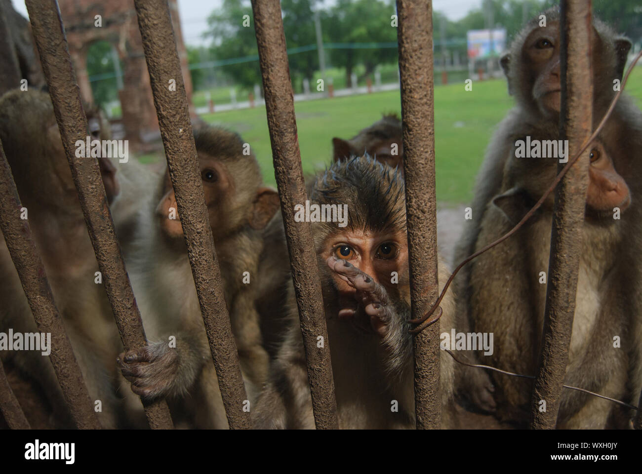 Urban conglomeration hi-res stock photography and images - Alamy