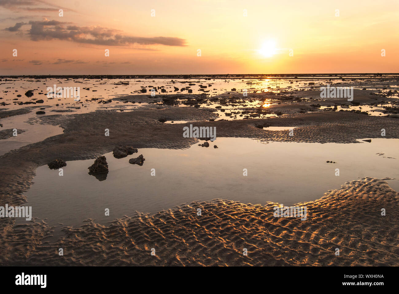 stone on the beach in sunset Stock Photo - Alamy