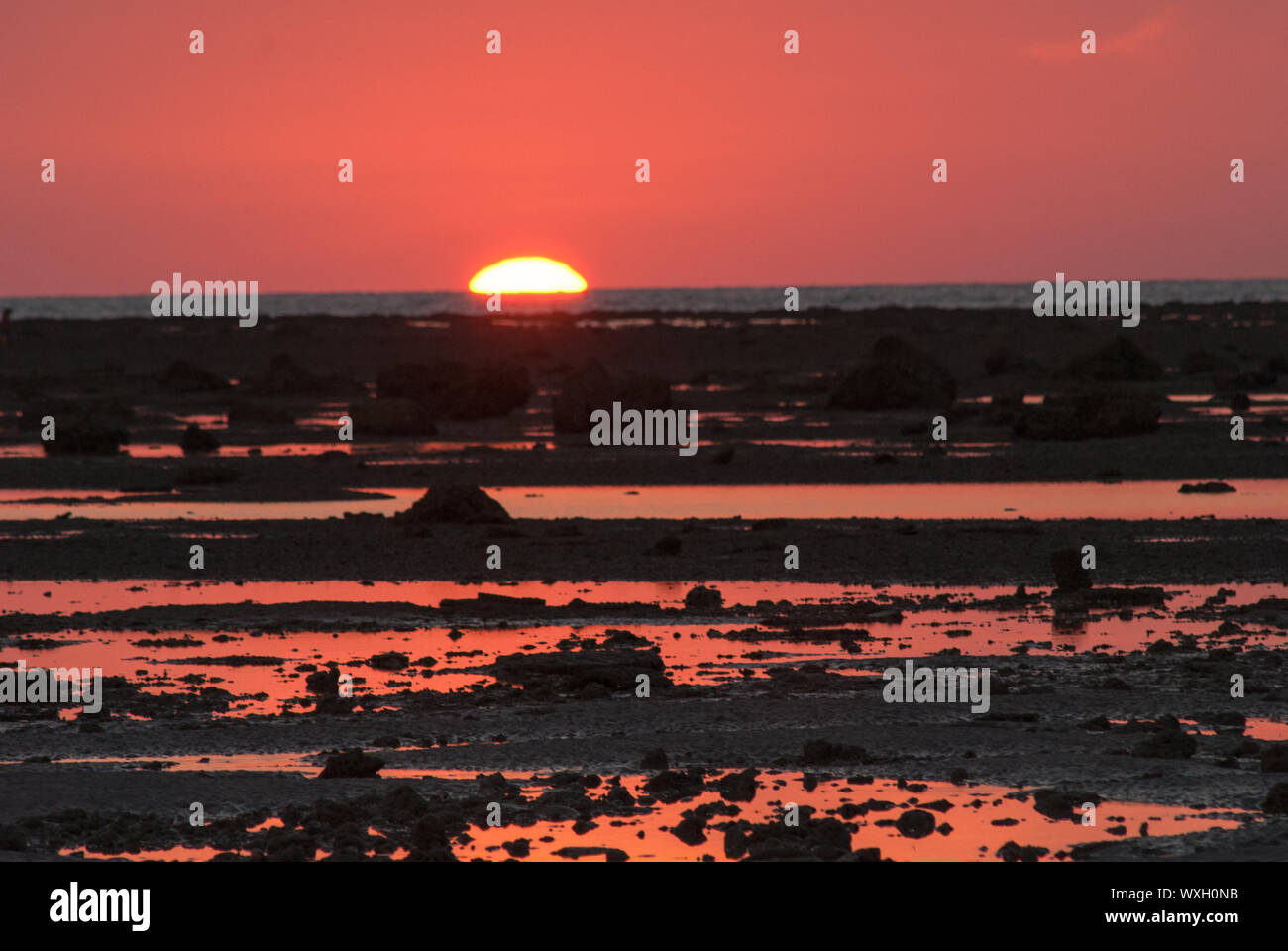 stone on the beach in sunset Stock Photo - Alamy