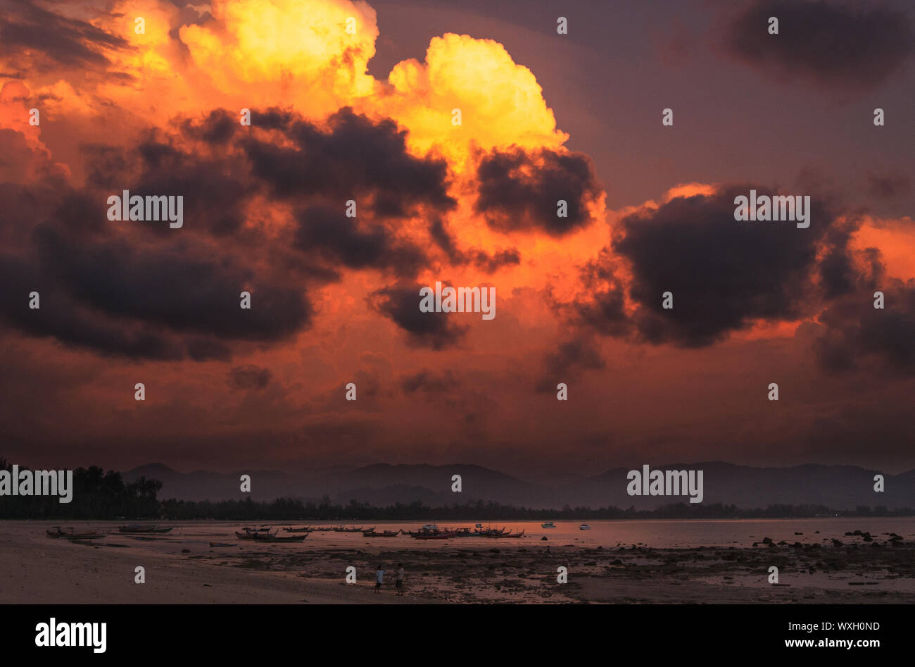 stone on the beach in sunset Stock Photo - Alamy