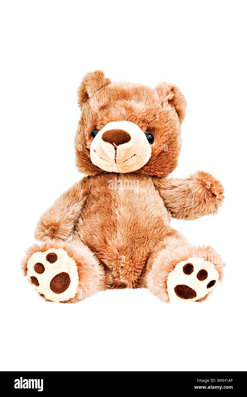 Isolated Generic Teddy Bear Stock Photo - Alamy