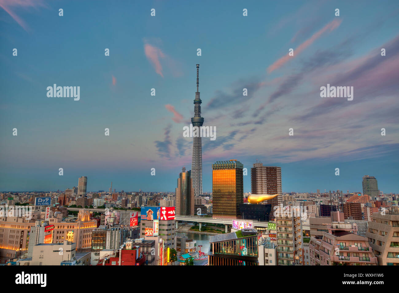 View over Tokyo city at sunset Stock Photo - Alamy