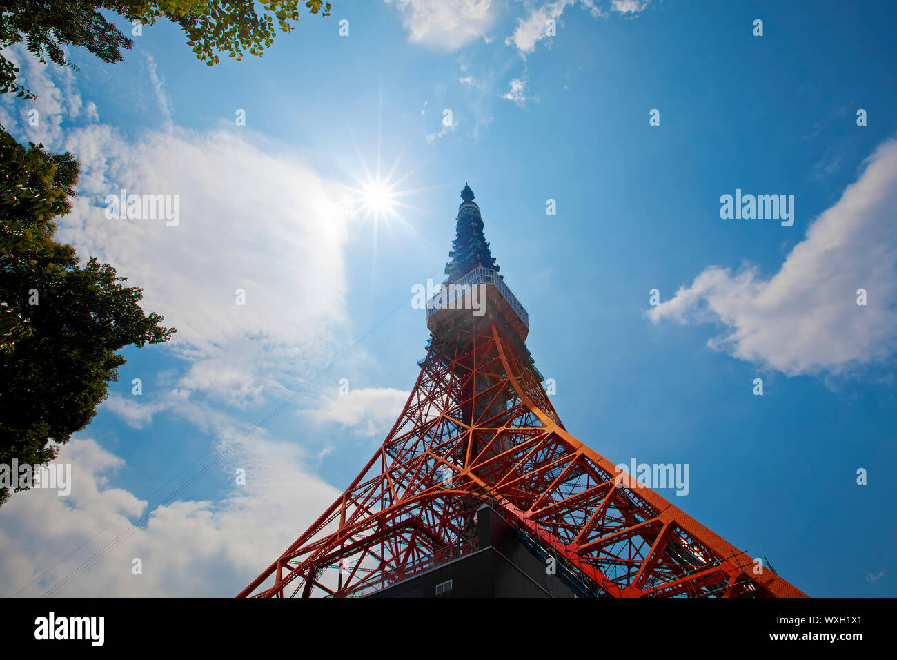 The iconic landmark, Tokyo Tower, in Tokyo, Japan Stock Photo - Alamy