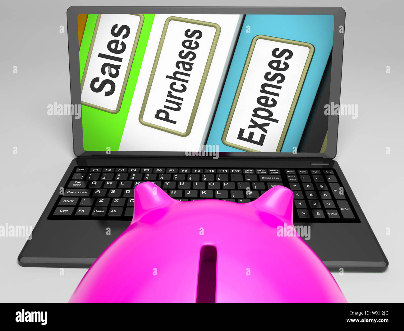 Sales Purchases Expenses Files On Laptop Shows Commerce And ...