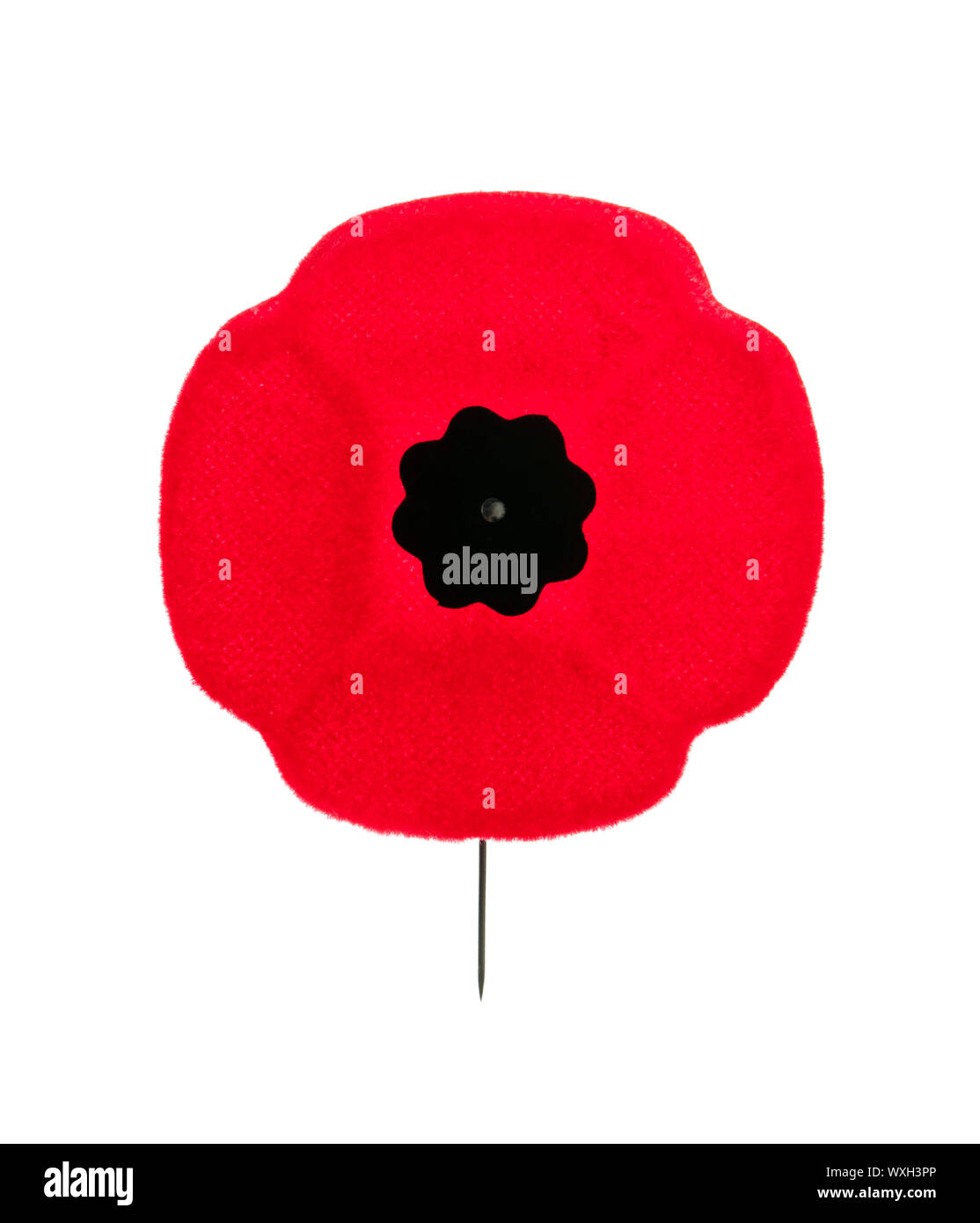 Red poppy lapel pin for Remembrance Day Stock Photo - Alamy