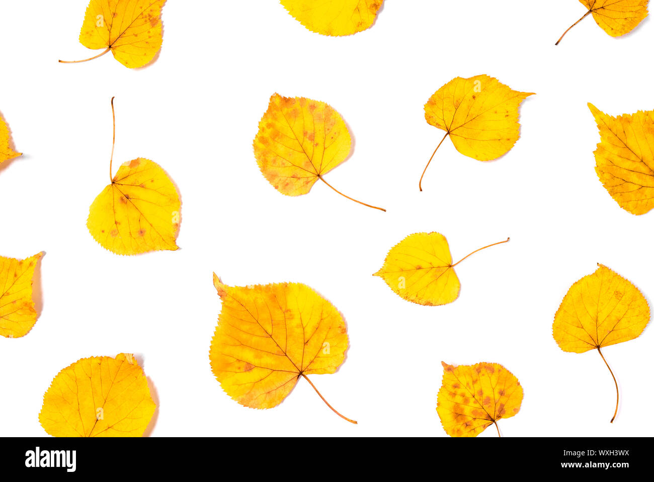 Autumn pattern made of yellow leaves on white background Stock Photo ...