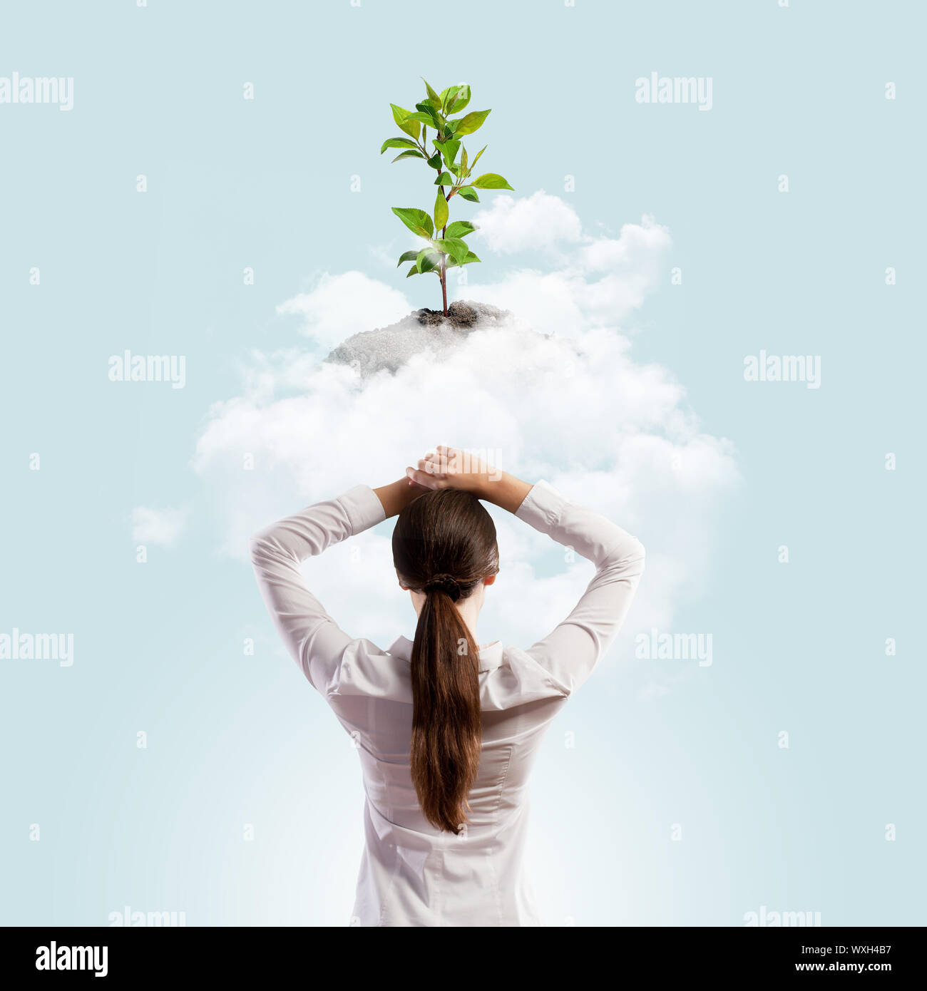 8469 hi-res stock photography and images - Alamy