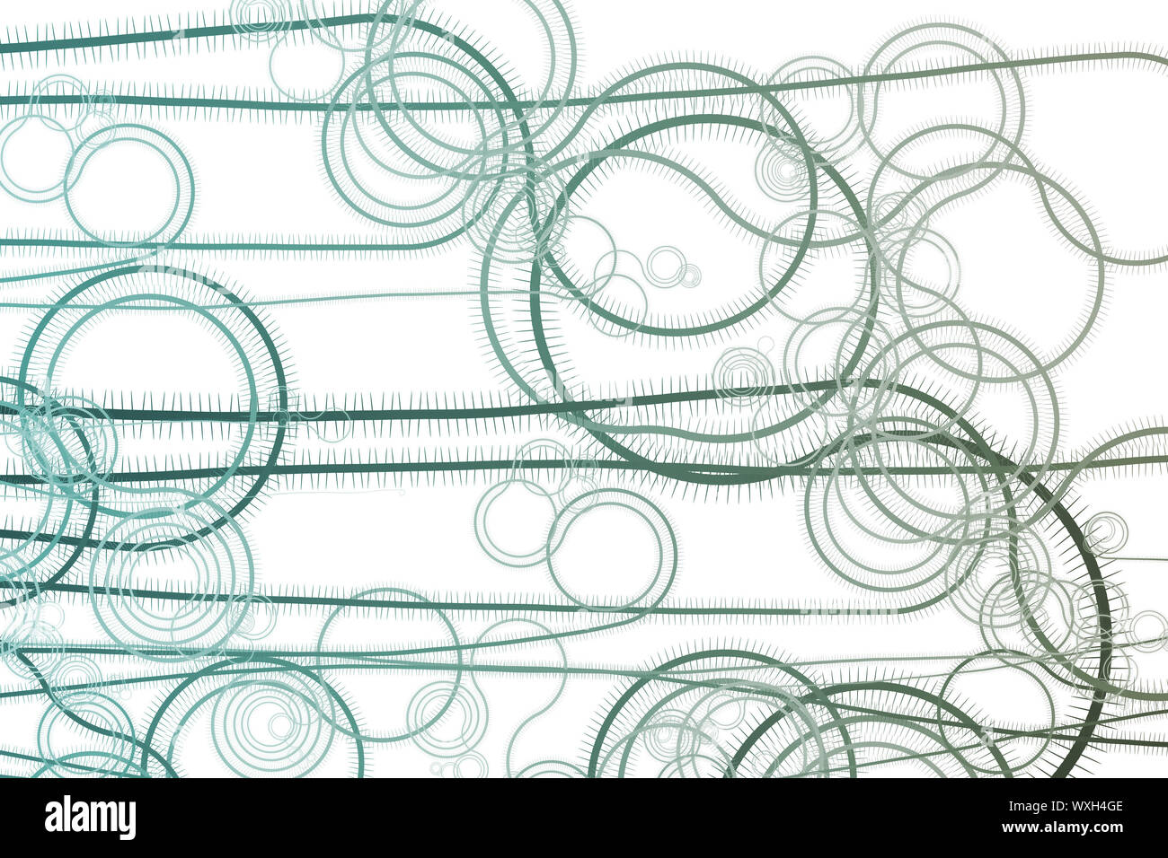 Curving Vegetation Winding Vines Stock Photo - Alamy