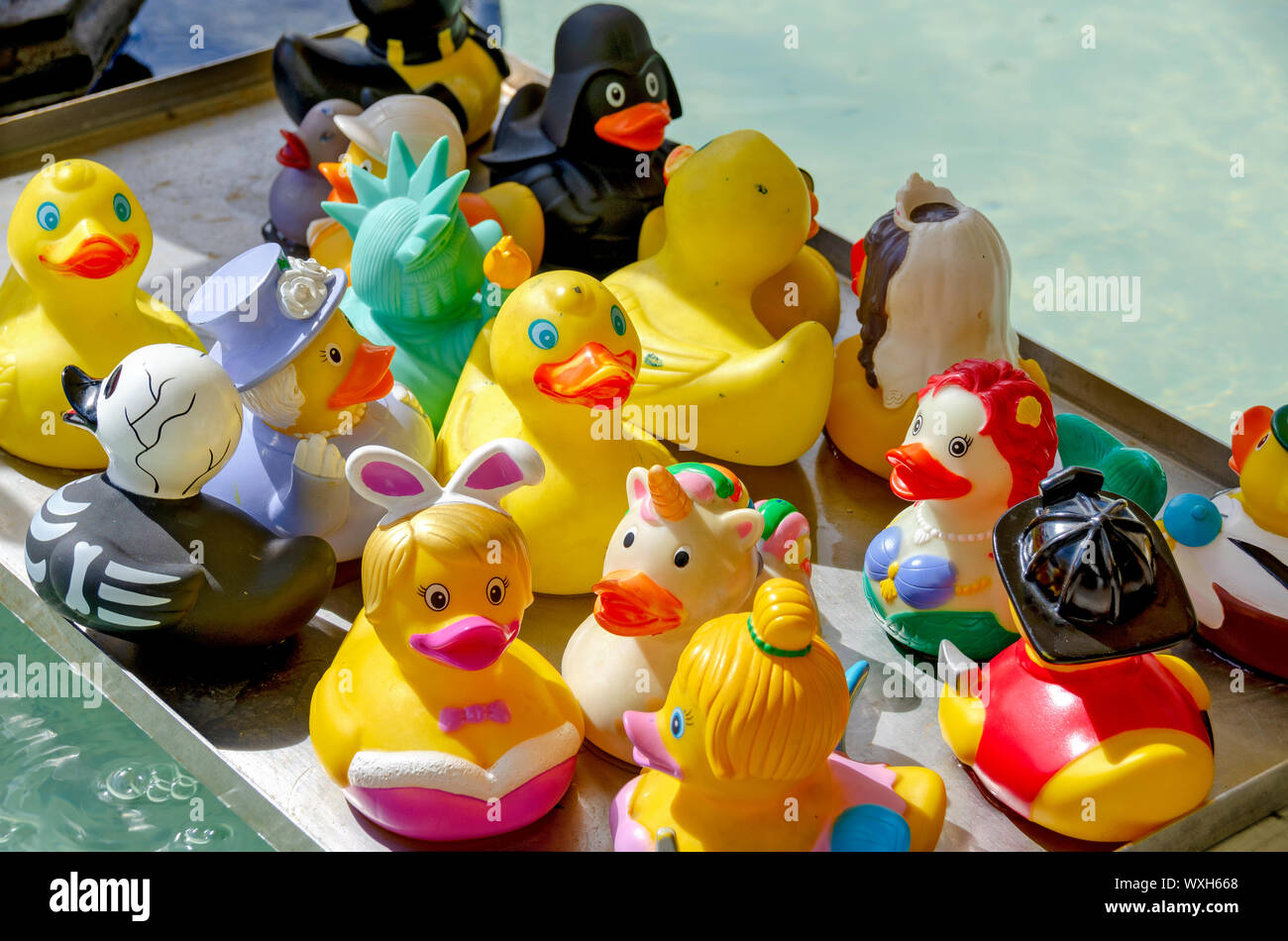 tray with colorful plastic ducklings for bathing Stock Photo - Alamy