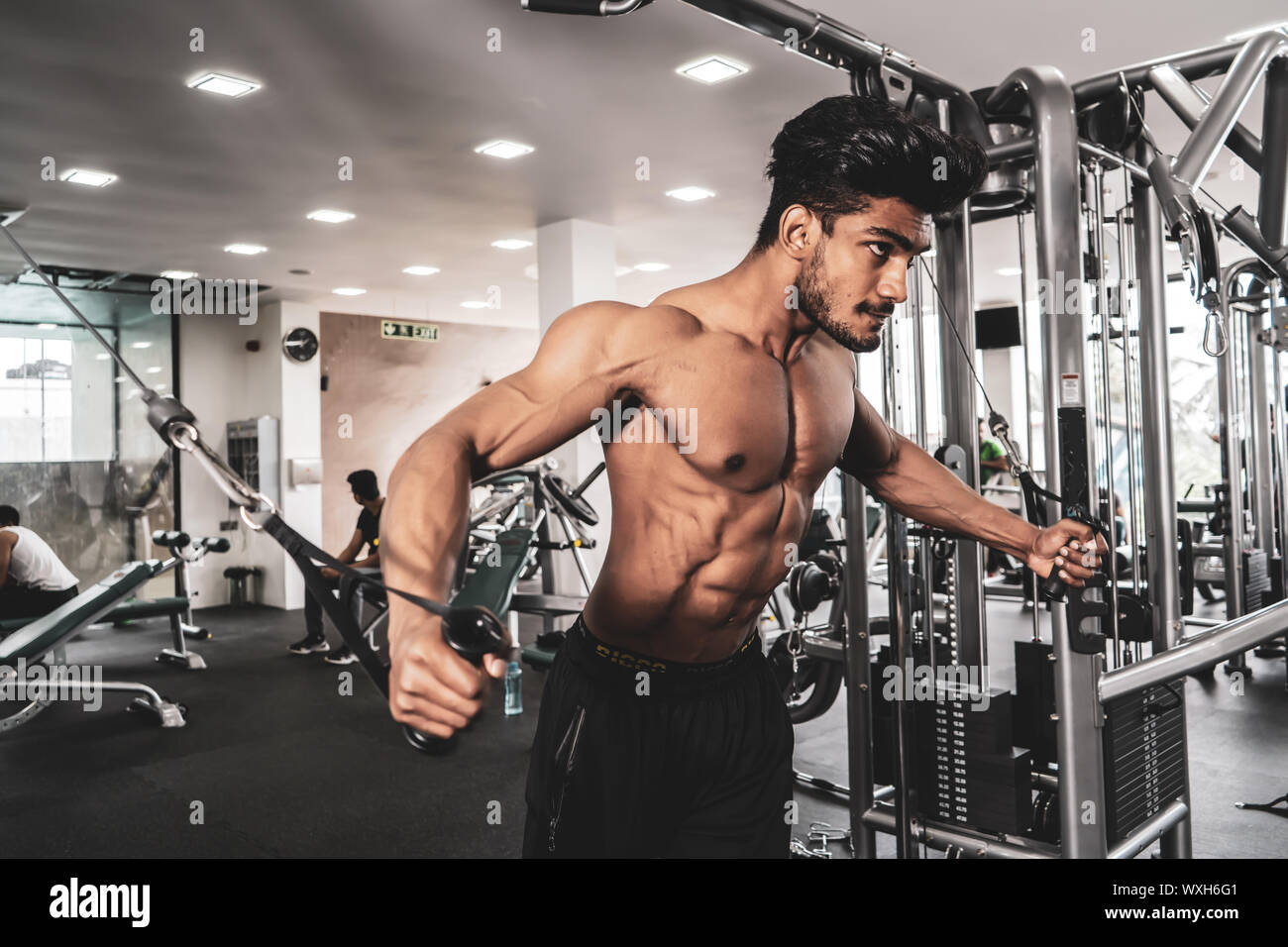 Bodybuilder Is Working On His Chest With Cable Crossover In Gym. Scream ...