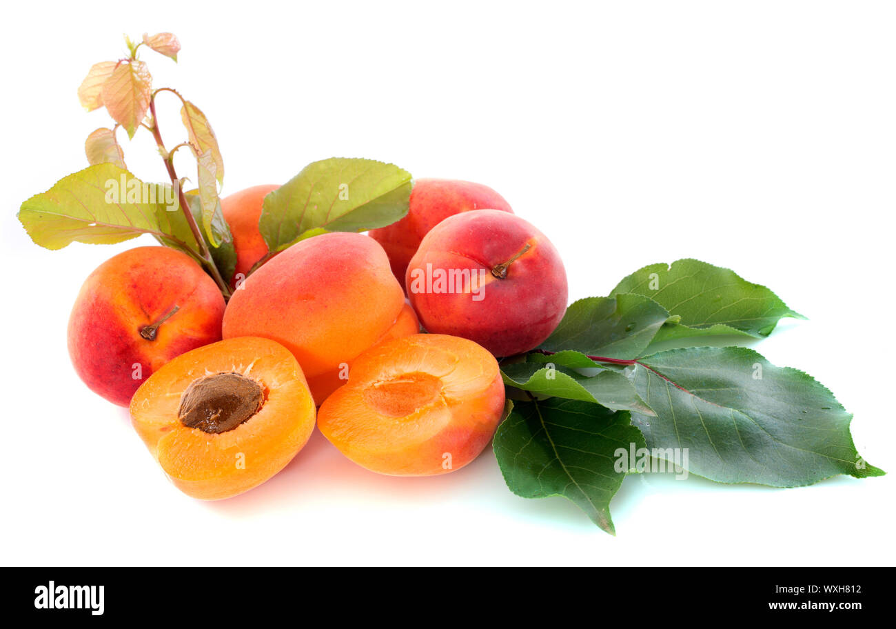 picture of red apricots in a studio Stock Photo - Alamy